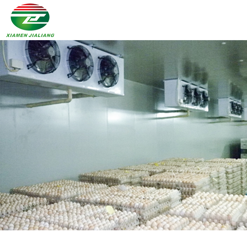 Jamaica Support Customization 200 Tons Eggs Cold Room