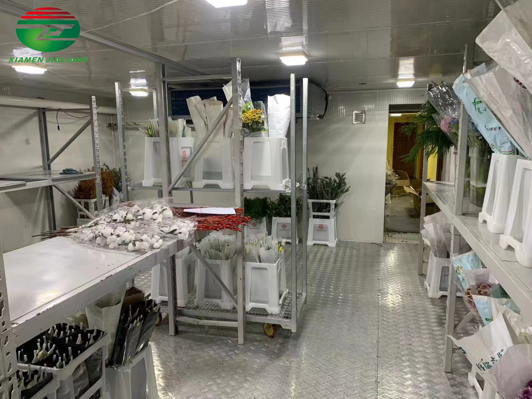 Quick-frozen food freezer