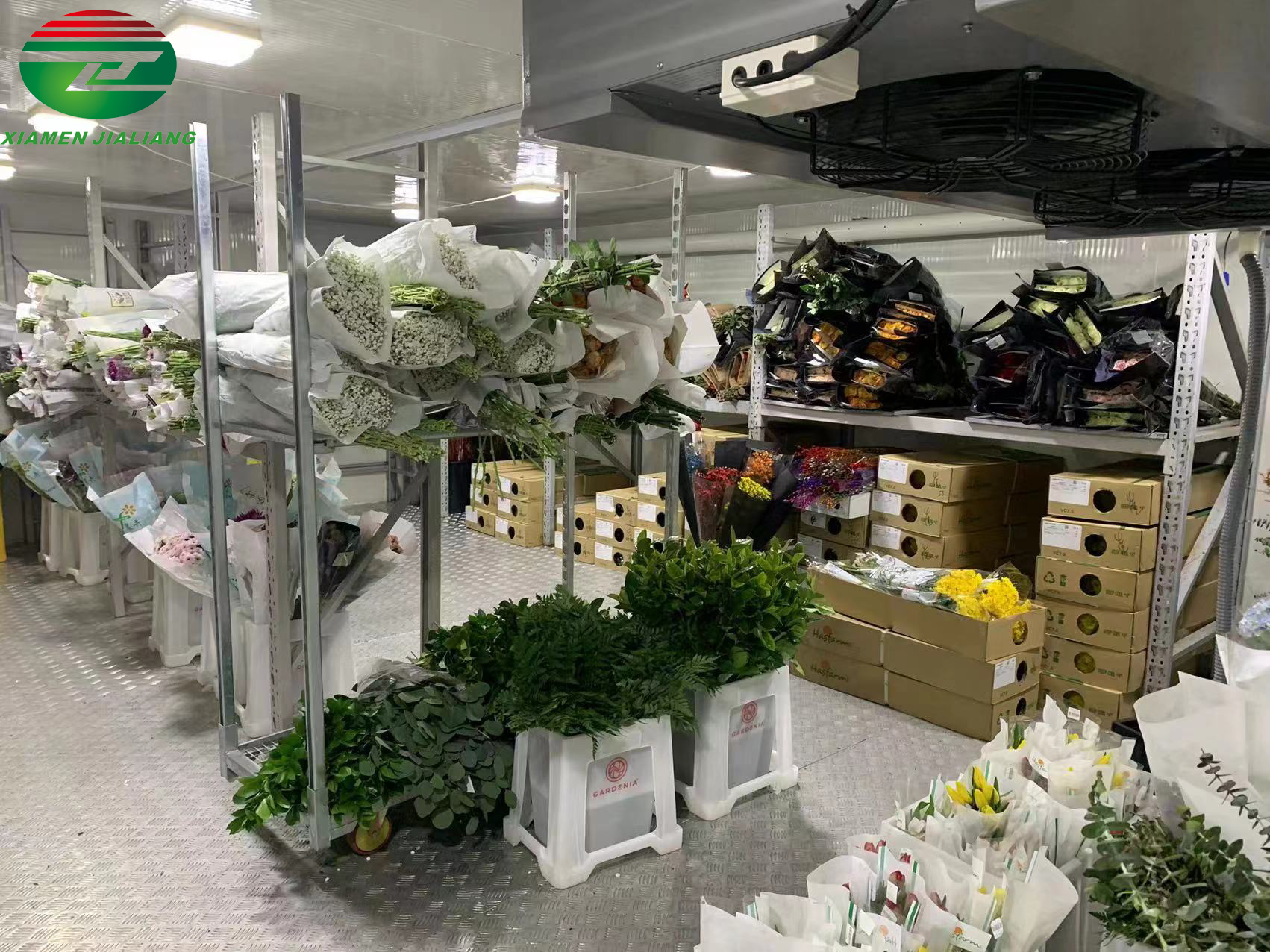 Temperature control expert cold storage