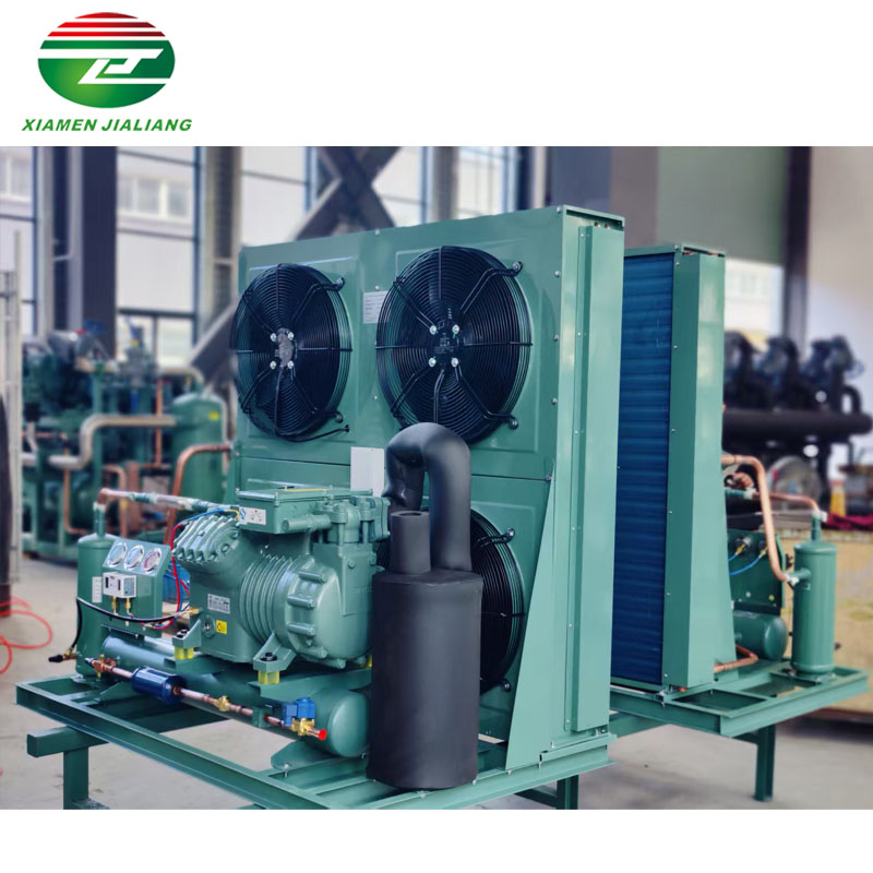 Condensing Unit with Motor Compressor