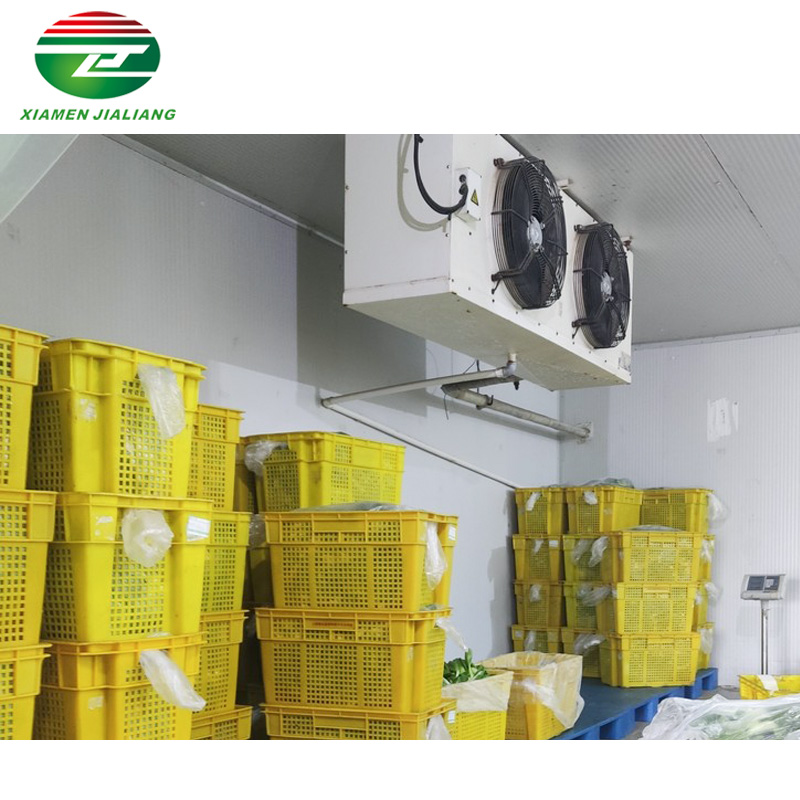 Fresh Keeping 10 Tons Vegetables Beautiful Cold Room in Morocco