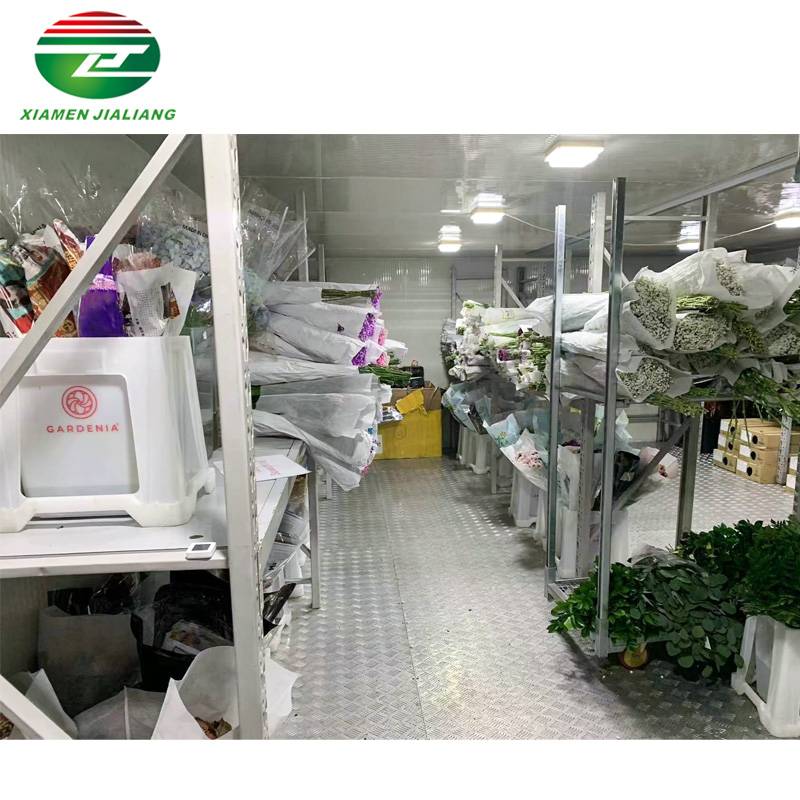 New Design Flower Storage Easy To Install Cold Room In Australia