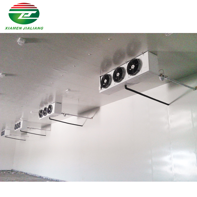 high performance cold storage cold room cooling system for meat walking ...