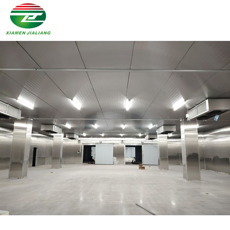 Customized Size Freezer Cold Storage