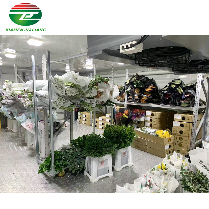 New Design Flower Storage Easy To Install Cold Room In Australia