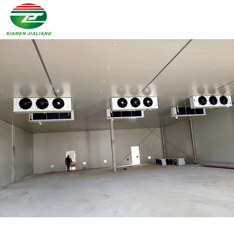 Design Beautiful 20 Tons Mushroom Cold Room In Jamaica Farm