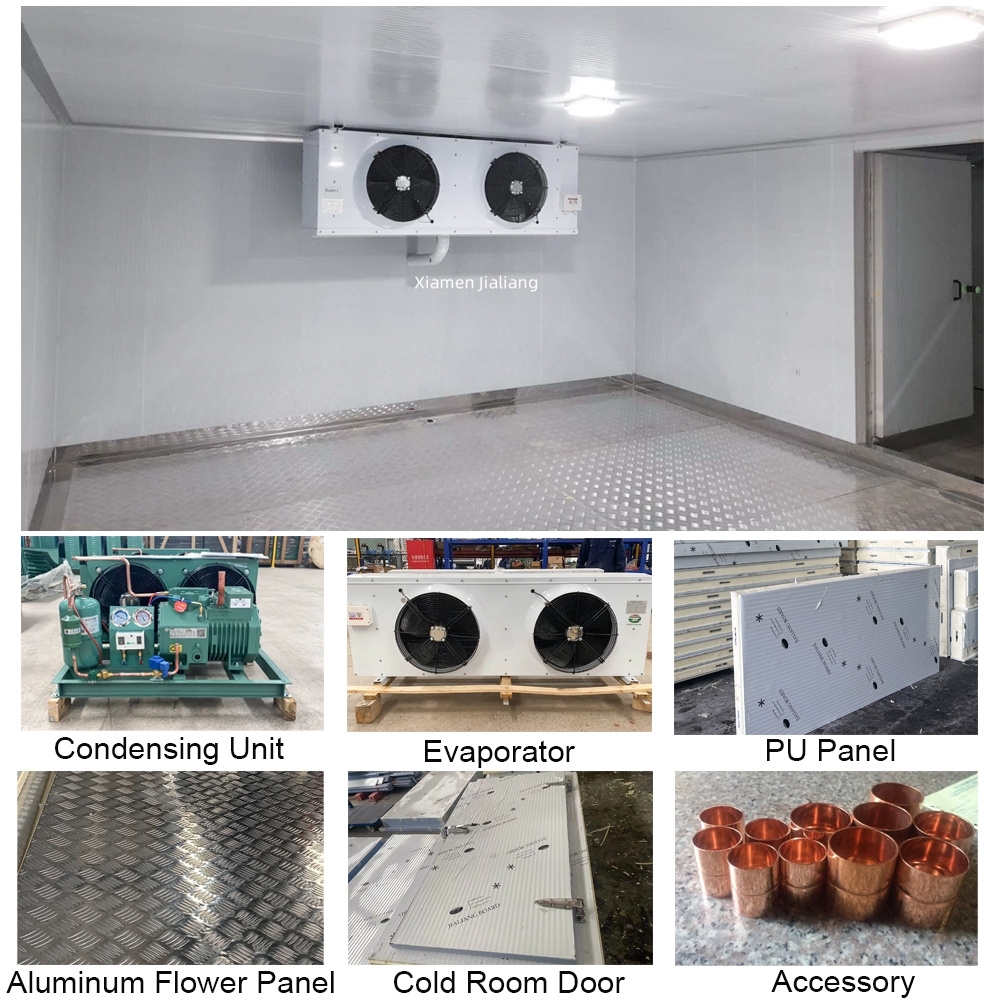 Australia Customized Large High Quality Blast Freezer Room Xiamen Jialiang