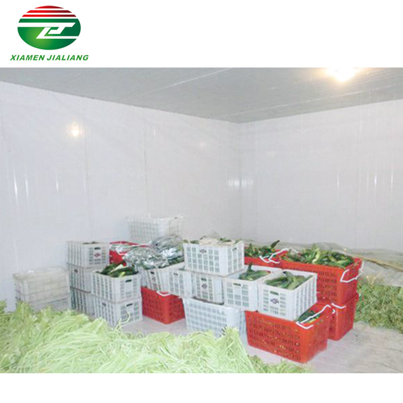 Fresh Keeping 10 Tons Vegetables Beautiful Cold Room in Morocco